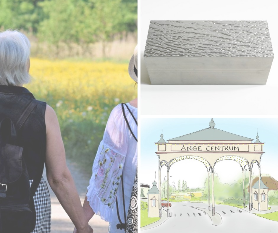 [2026-01-05] Visioner för Ånge - Mötesplats Spångbro | Destination